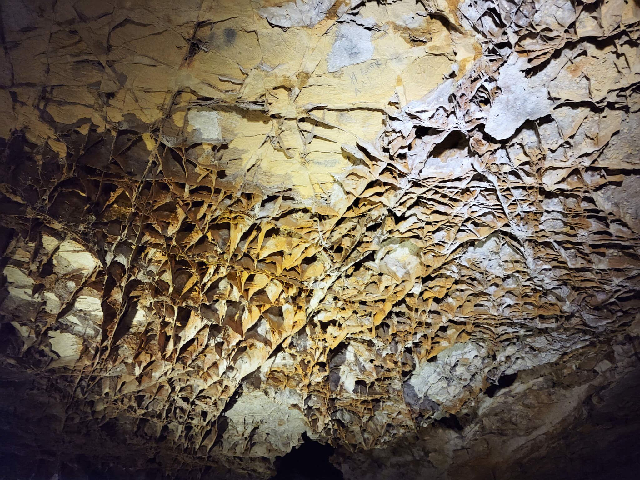 Top 2 Activities for an Amazing Afternoon at Wind Cave National Park