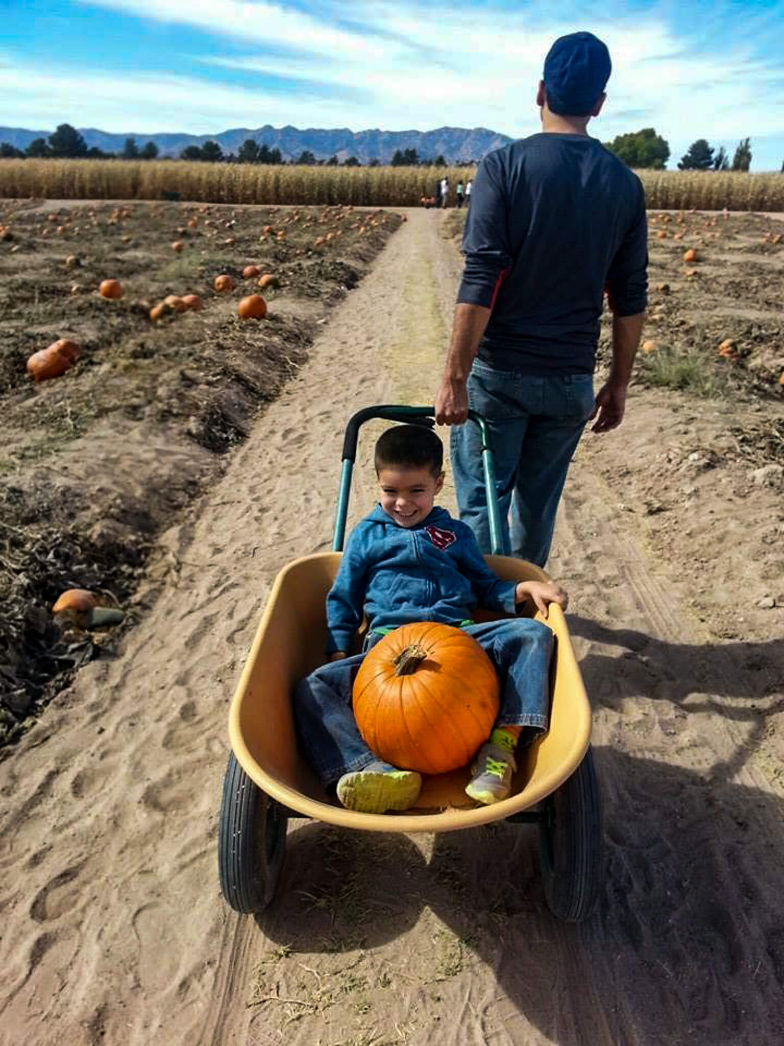 5 Reasons Apple Annie’s is the Best Pumpkin Patch in Southern Arizona ...