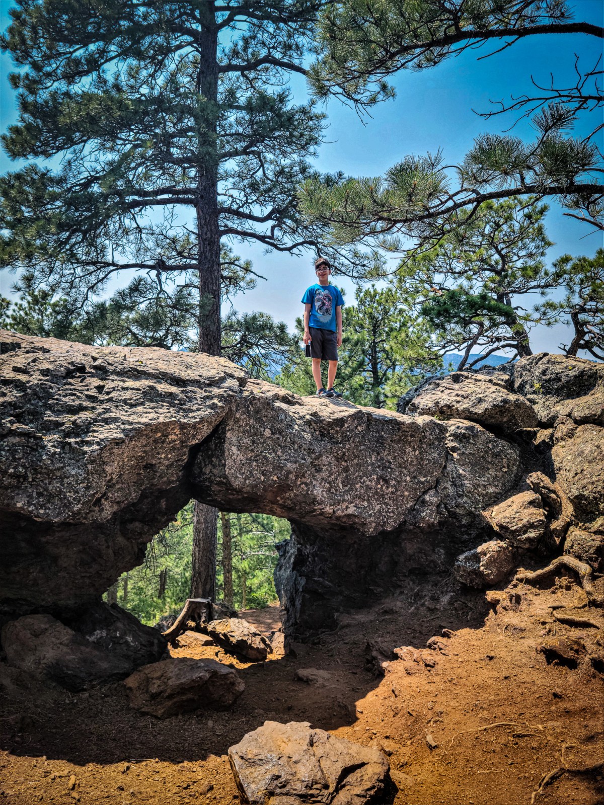 Travel Made Easy: Visiting Custer State Park | MPA Project Travels