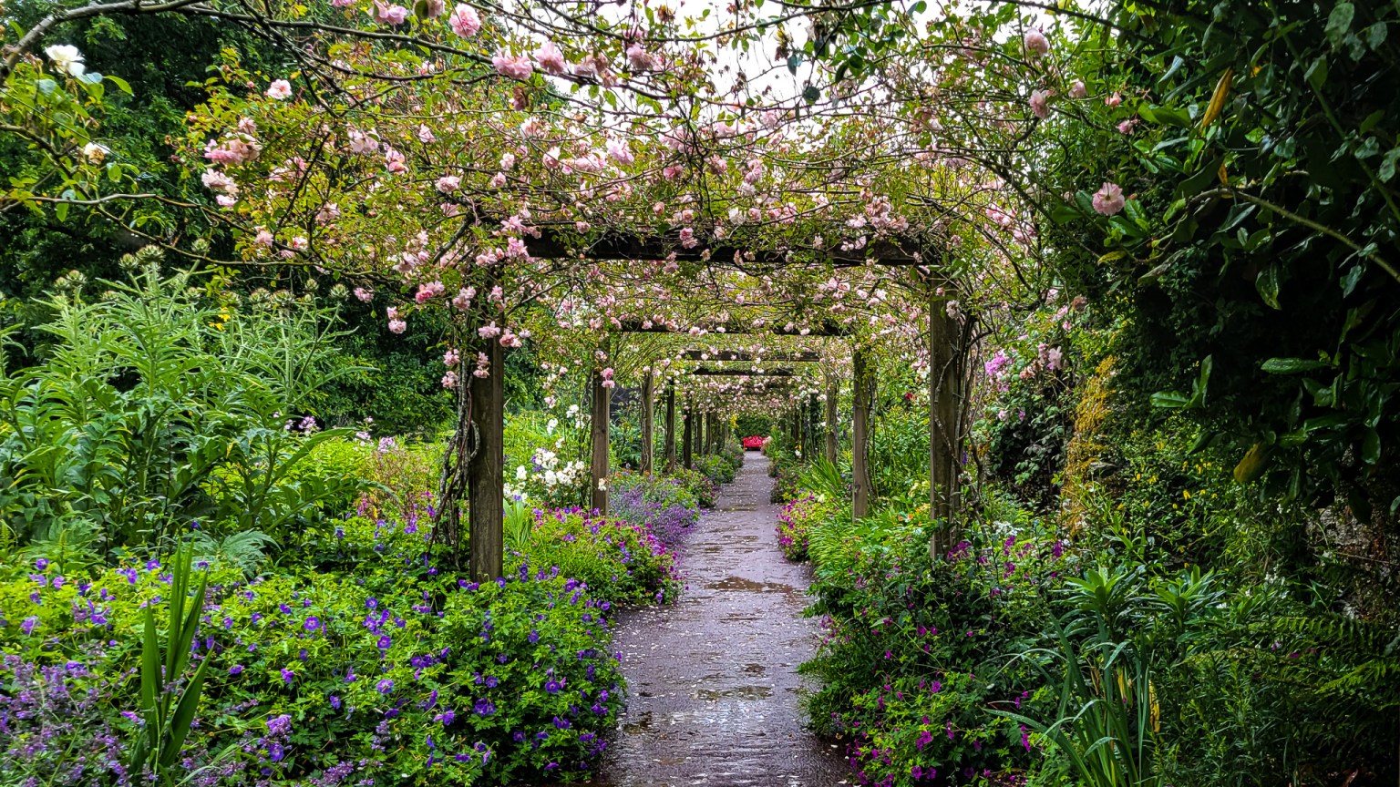 5 Tips For A Fantastic Visit to Blarney Castle | MPA Project Travels